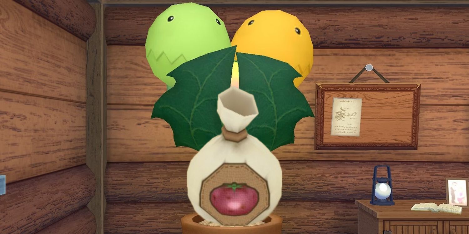 Los 10 Mejores Cultivos Para Cada Temporada En Story Of Seasons A